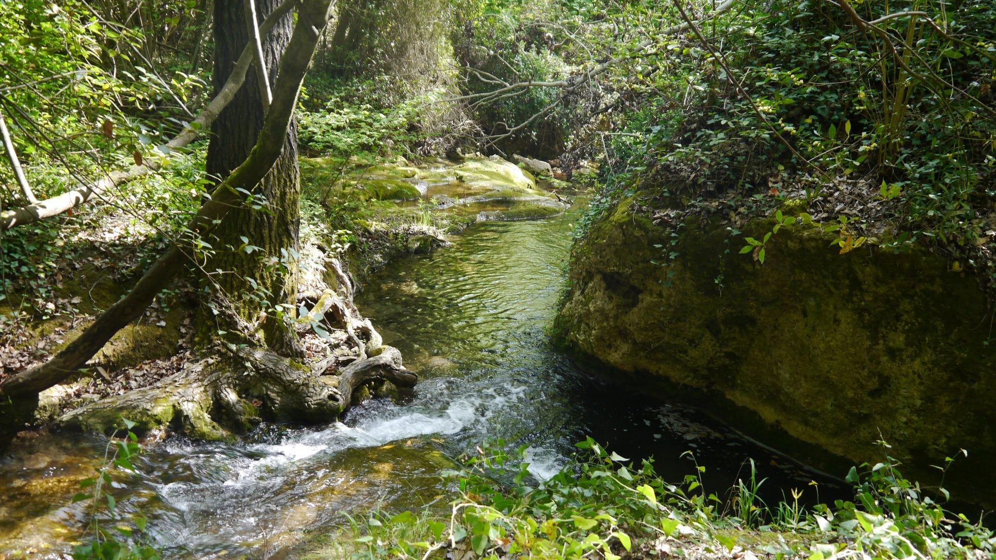 Things To Do | La Clé en Provence